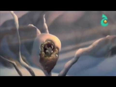 Bambi II - There's life (Arabic TV)