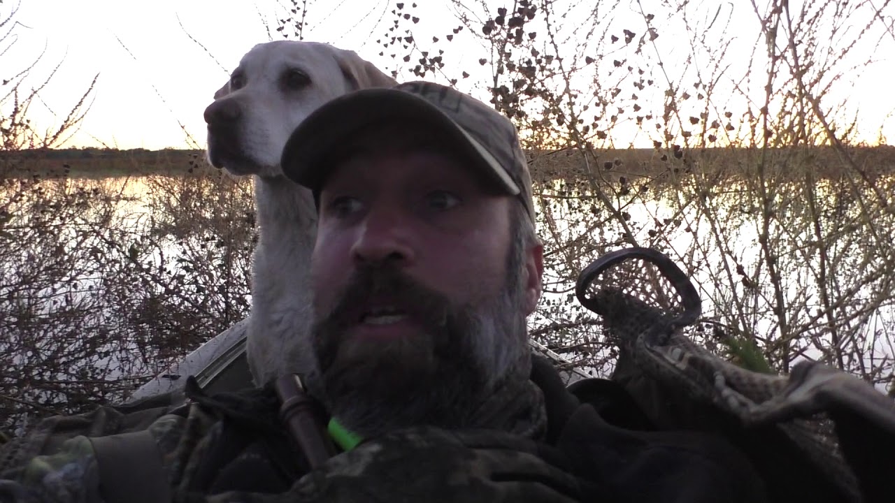 Duck Hunting 2017: Layout Boat Hunt Success! - YouTube