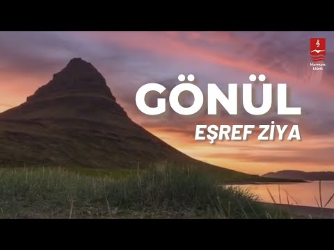 EŞREF ZİYA  \