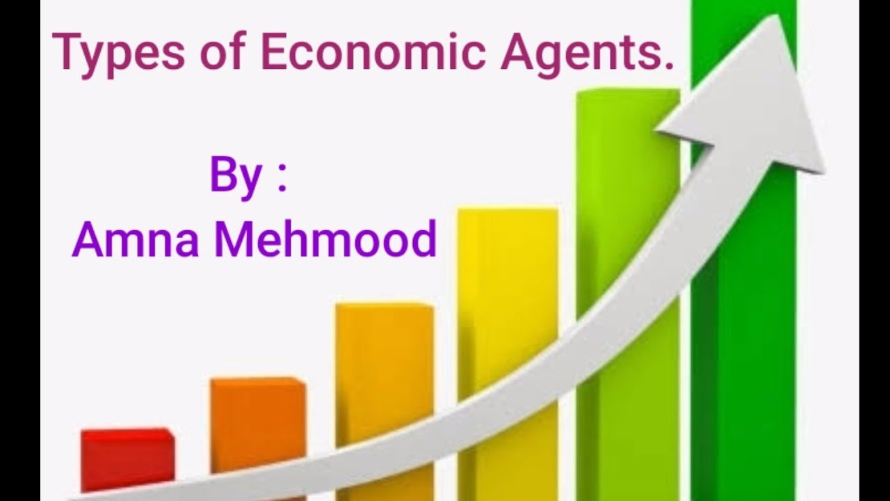 Types of Economic Agents. - YouTube