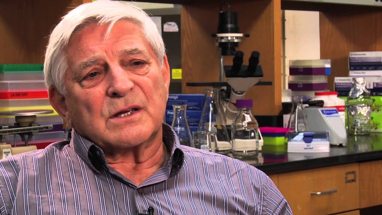 Christopher Newth, MD, FRCPC - Research Director, Anesthesiology ...