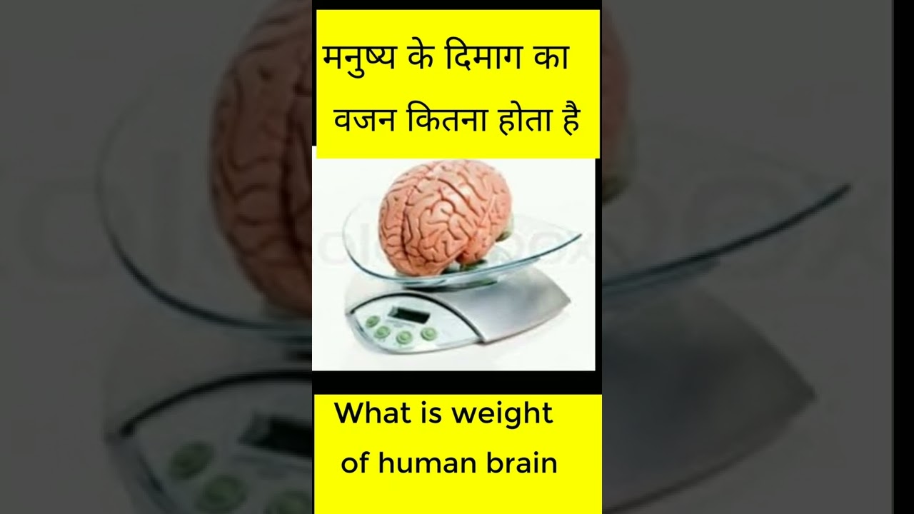 What is the weight of human brain @Techno Gamerz #shorts - YouTube