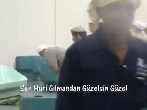 Gavs Hz.K.s