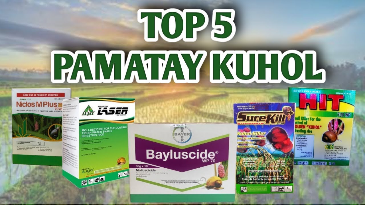 TOP 5 PAMATAY KUHOL SA PALAYAN | Vlog#11 - YouTube