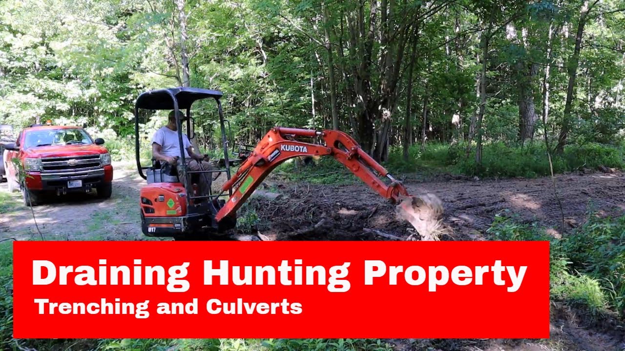 Draining our hunting property. Managing our water issue with trenches ...