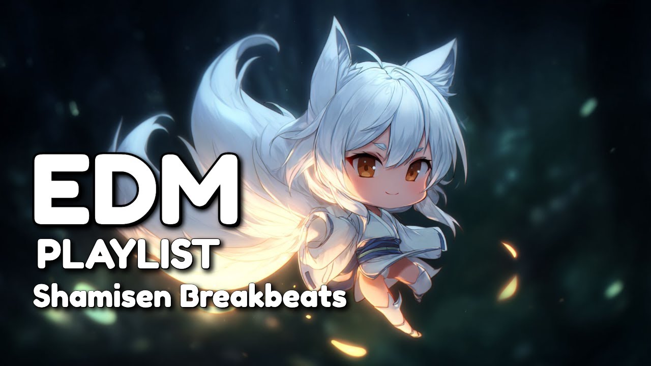 【EDM Playlist 14】Shamisen Breakbeats 173BPM ⚡ 作業用 DnB | 일본 샤미센 Space FX ...