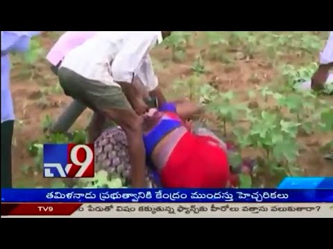 Lagi viral video perkelahian wanita india anjay pokoknya