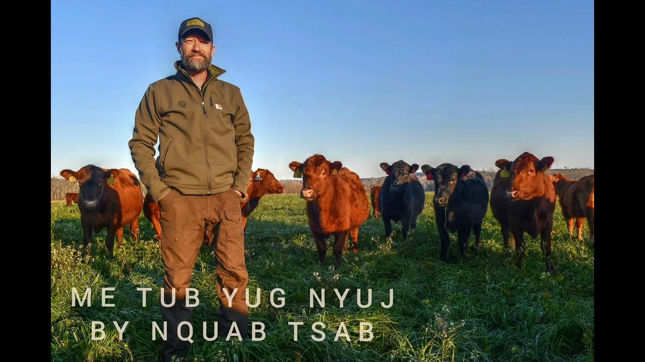 me tub yug nyuj by nquab tsab - YouTube