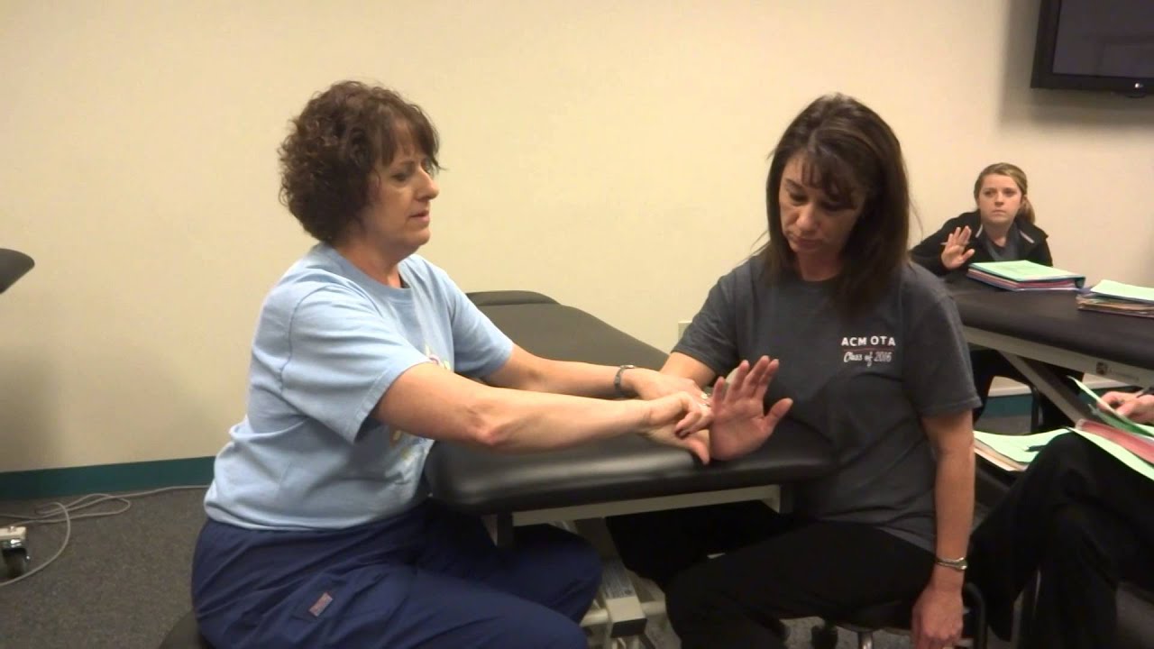 MMT Extensor carpi radialis, ulnaris anti gravity & Flexor carpi ...