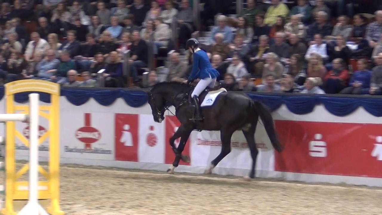 Dominator 2000 Z @ K&K CUP 2017 - YouTube