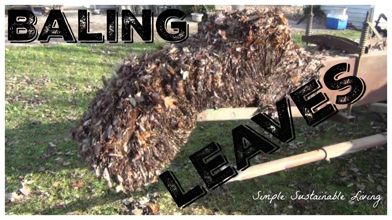 Man Uses Farm Equipment to Bale Leaves in Backyard - YouTube