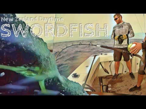 New Zealand Daytime Swordfish - YouTube
