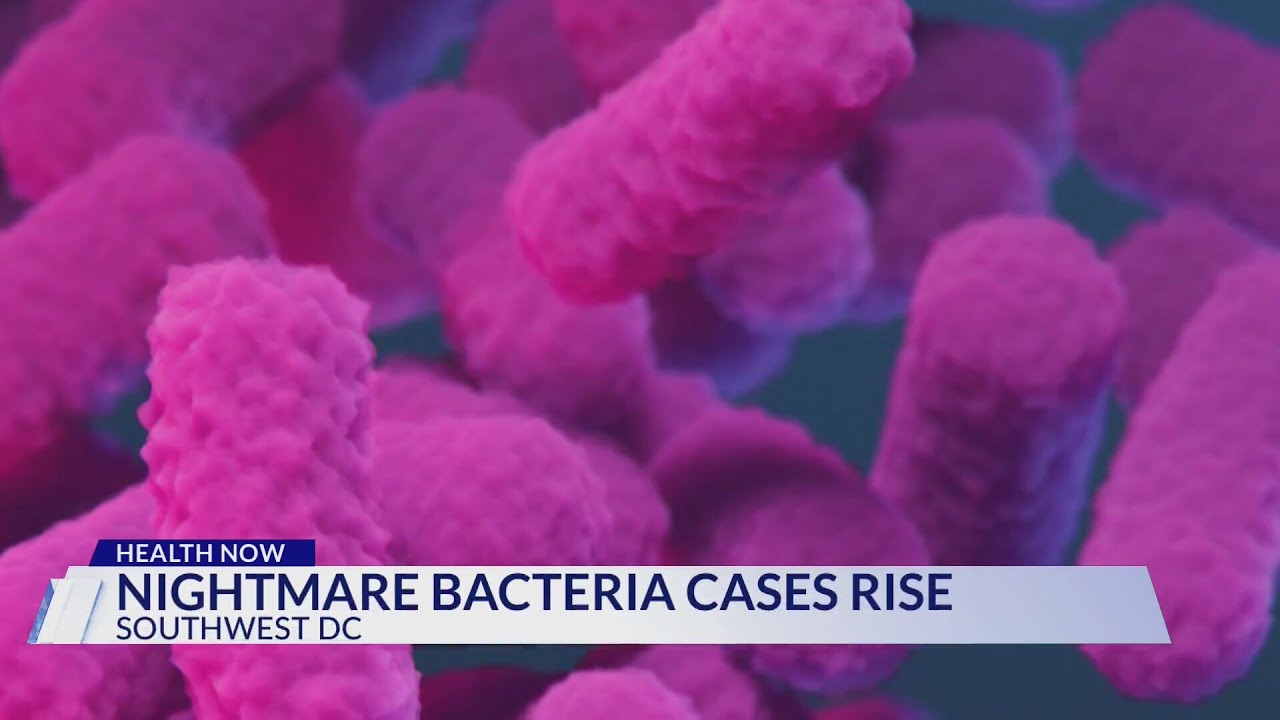 Drug-resistant ‘nightmare bacteria’ cases on the rise: CDC - YouTube