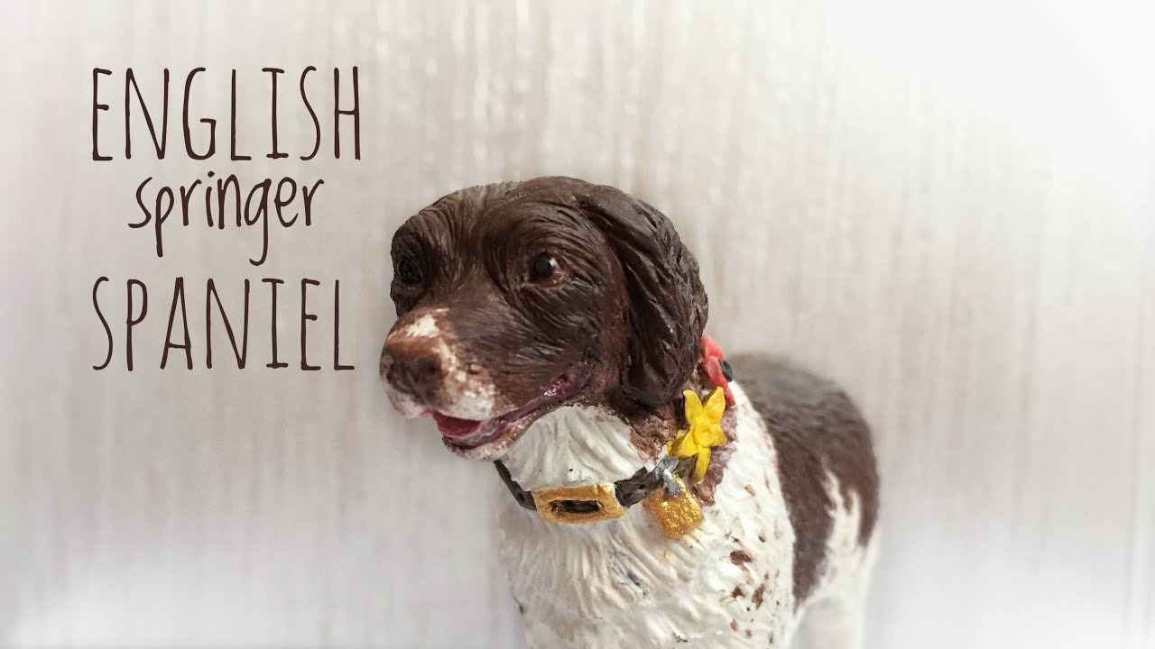 Английский спрингер-спаниель . Полимерная глина. English springer ...