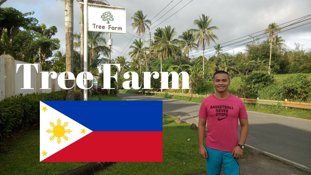 Ang buhay Probinsya Tree Farm Liliw, Laguna 2018 - YouTube