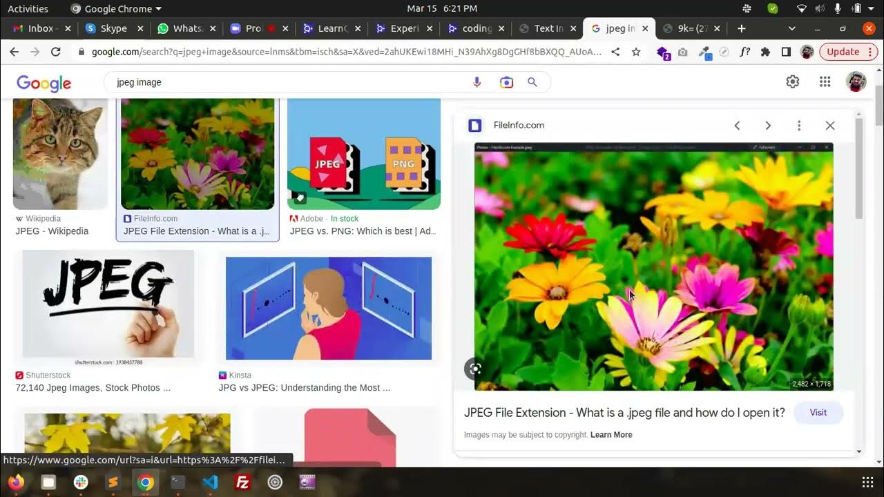 Adding Images to Your Webpage: HTML Tutorial with LearnQoch - YouTube