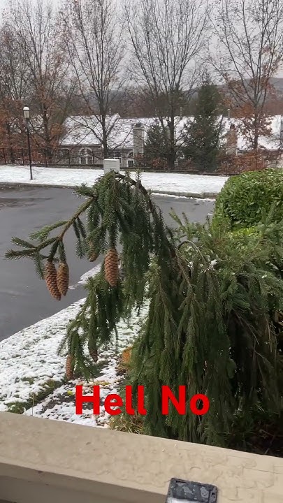 #Short Oh Hell No - YouTube