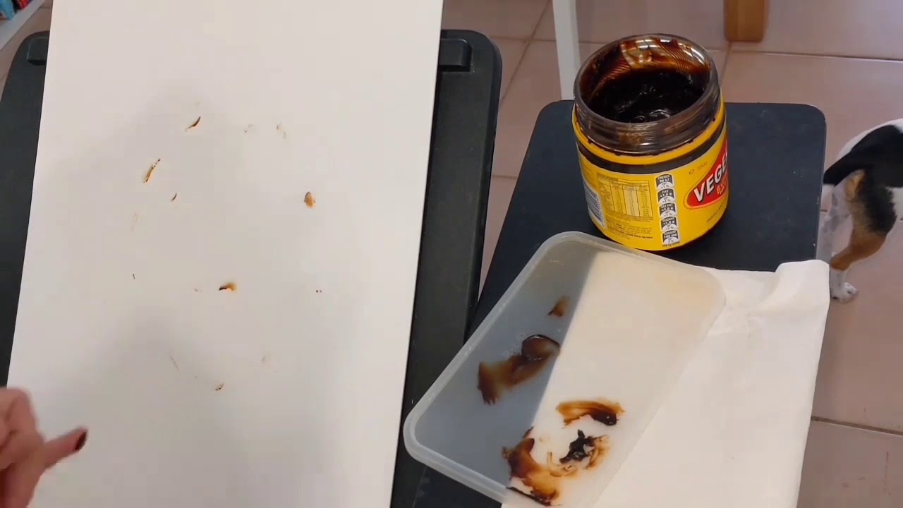 Greg Davies Taskmaster Portrait - YouTube