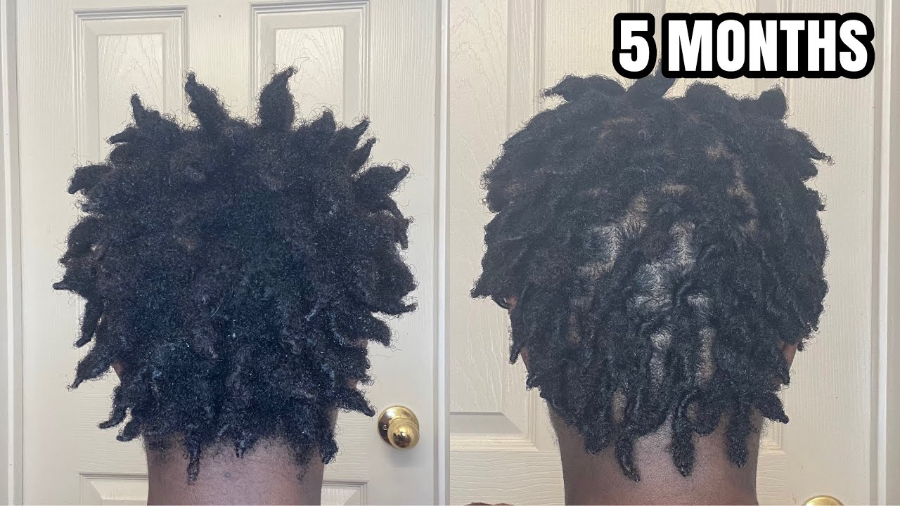 5 Month Loc Update with PICTURES | Comb Coils on Type 4 Hair | Short ...