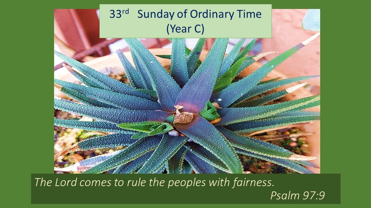 33rd Sunday of Ordinary Time (Year C) - YouTube