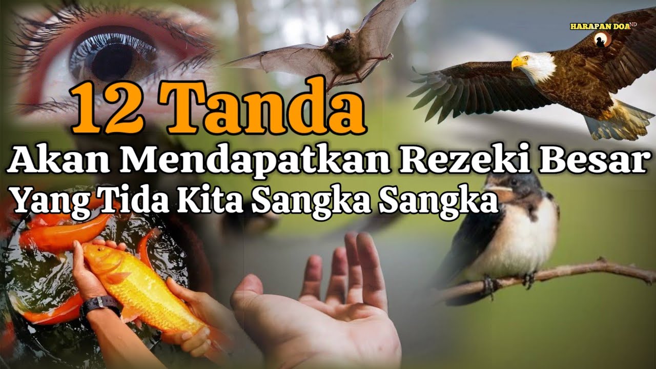 Pertanda Rezeki Besar !!! 12 Tanda Anda Akan Mendapatkan Rezeki Besar - YouTube