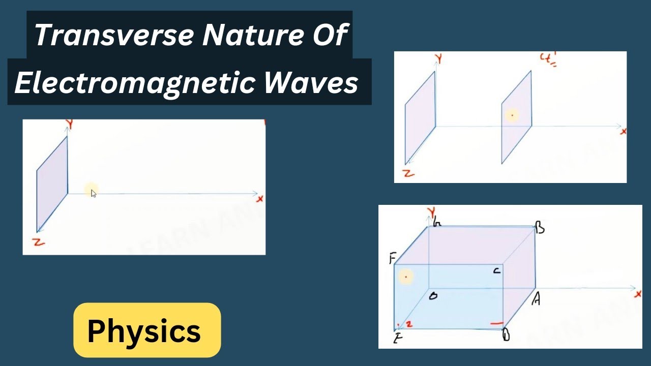 Transverse Nature Of Electromagnetic Waves | Electromagnetic Waves ...