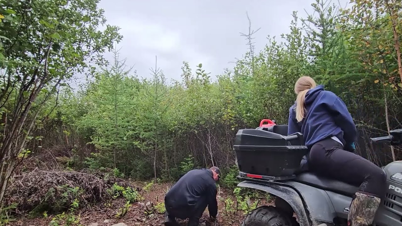 Pulling Tree Stumps with the ATV | Another Step Forward | Creating a ...