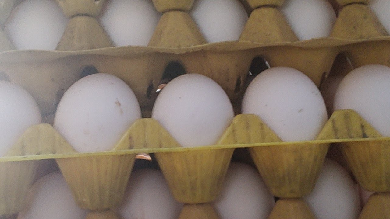 Morning Ls Tara Na Mga Lodi - YouTube