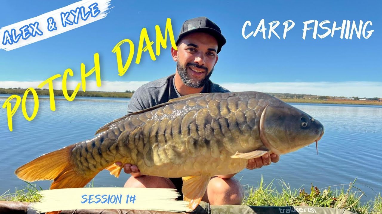 CARP FISHING !!!! POTCH DAM!!! STUNNING CARP CAUGHT ! - YouTube