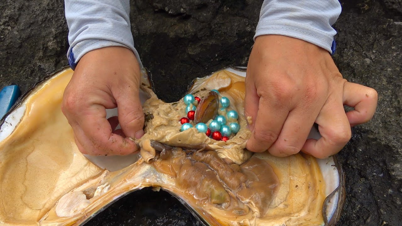 Incredibly, clams are hidden inside clams, and bright pearls have ...