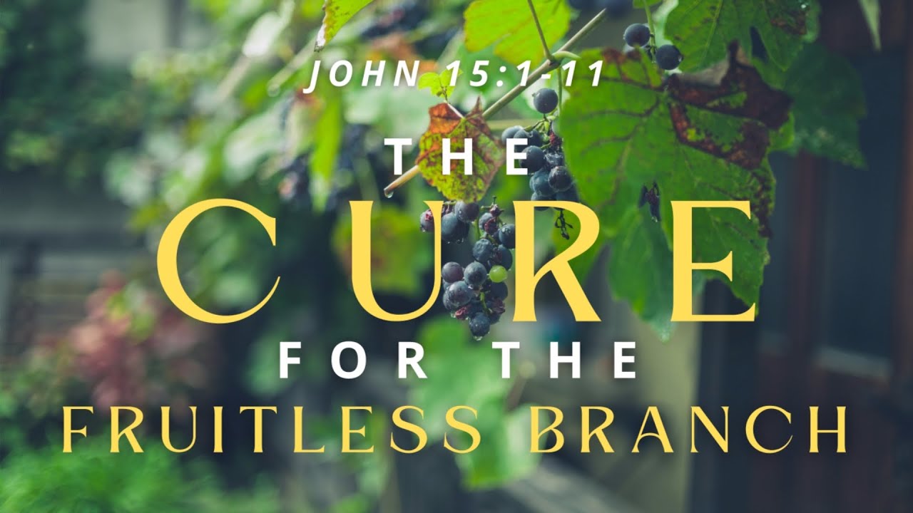 The Cure for the Fruitless Branch - YouTube