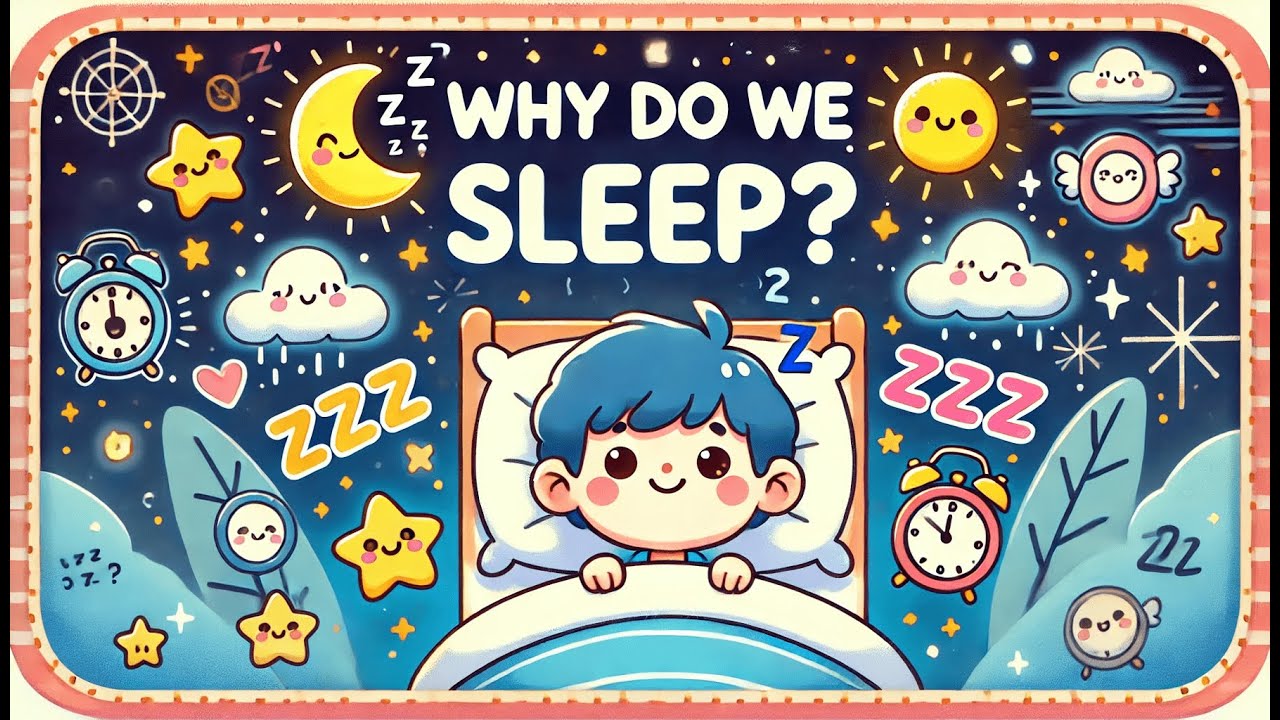 Why Do We Sleep ? - YouTube