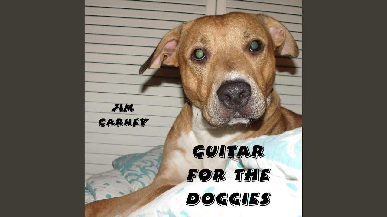 a dog named cat - YouTube