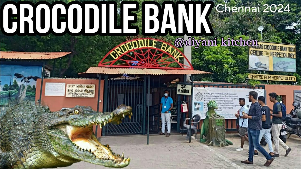 A VISIT TO CROCODILE BANK || CHENNAI 2024 || MADRAS CROCODILE PARK ...