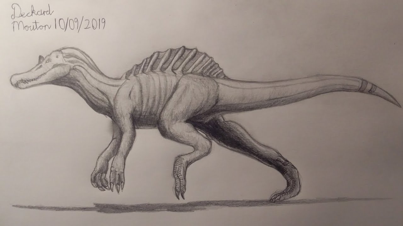 Drawing Irritator - YouTube