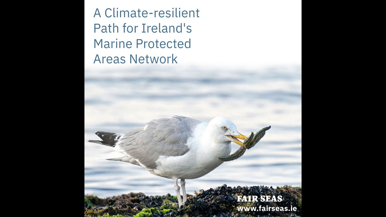 Protecting Irish seas in the face of climate change - YouTube