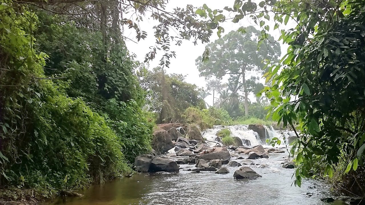 Top rated Tourist Attractions in Belabo, Cameroon | 2020 - YouTube