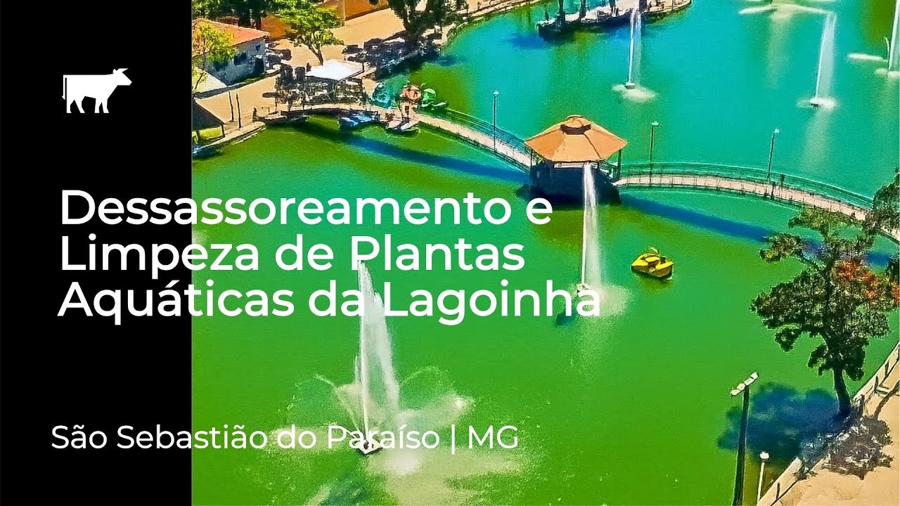 Desassoreamento e limpeza de macrófitas (plantas aquáticas)com long ...