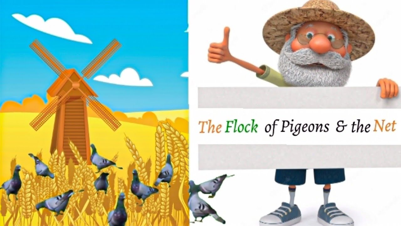 The Flock Of Pigeons and the Net | Union is Strength Animated Movie ...