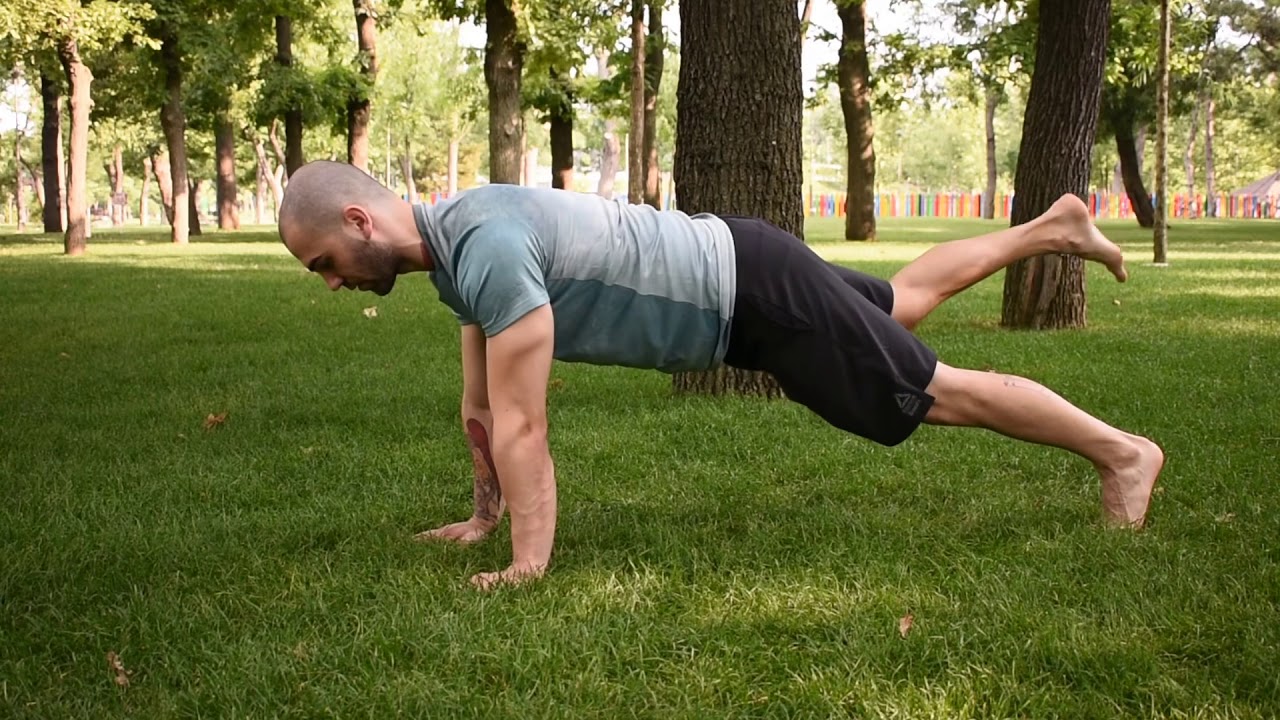Leg Raise Plank - YouTube