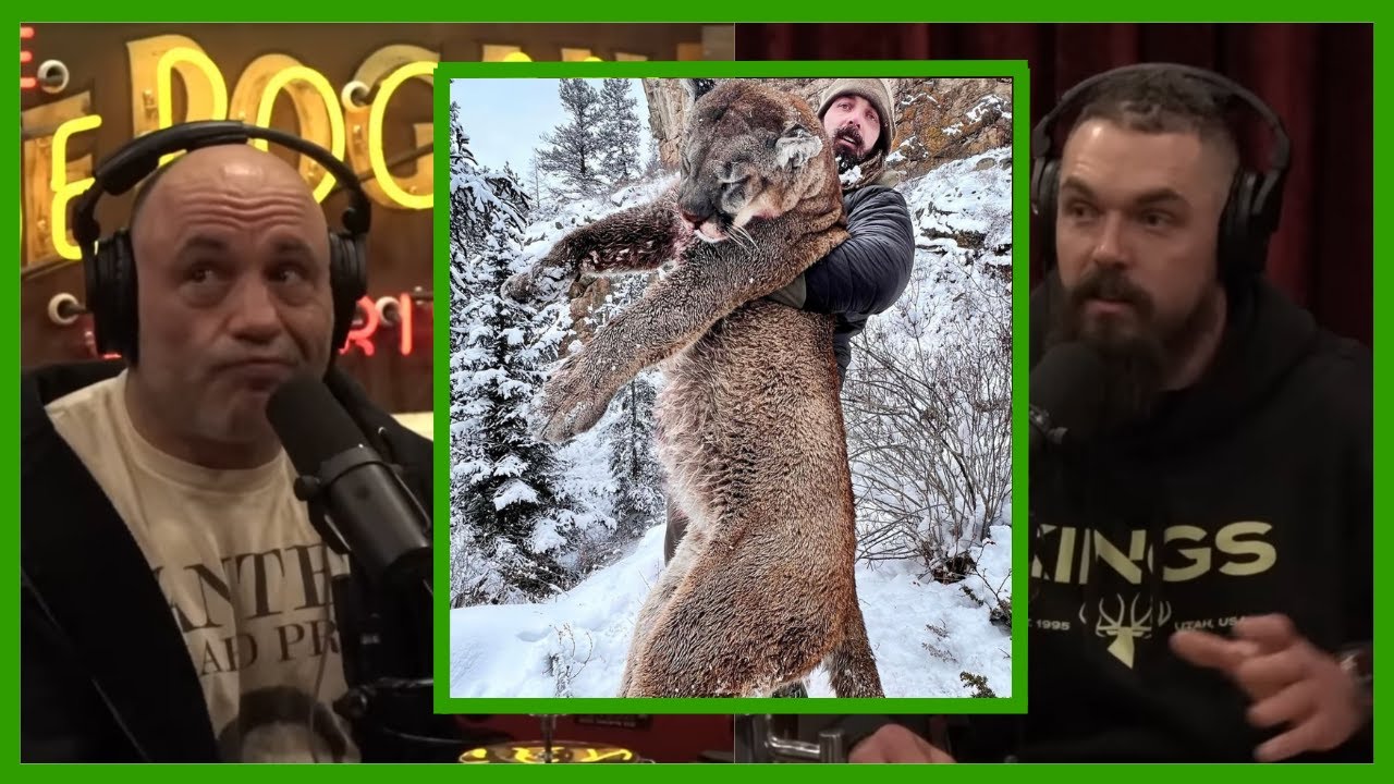 Derek Wolfe: CRAZY LION Hunting Story! Joe Rogan Clips - YouTube