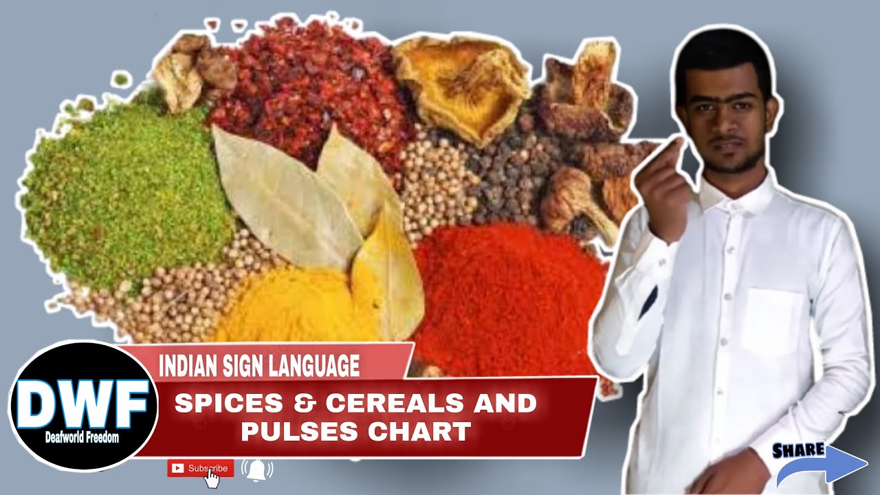 Spices & Cereals And Pulses Chart in Indian Sign Language | ISL | - YouTube