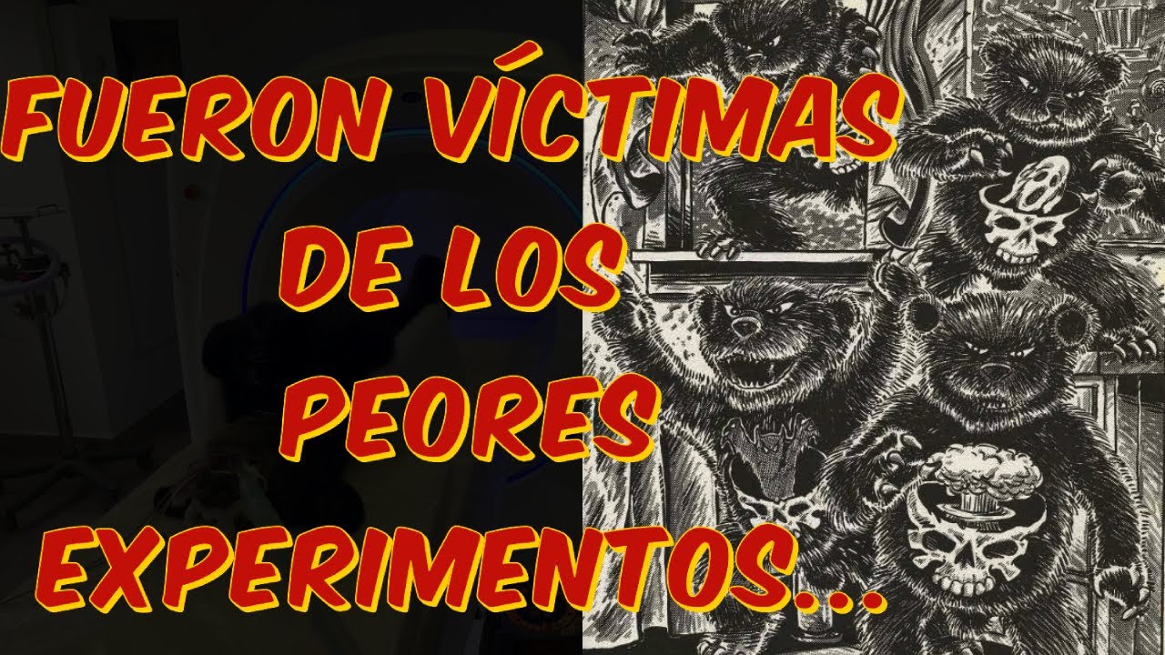 ¿Quienes son LOS OSOS DEL TERROR? - YouTube