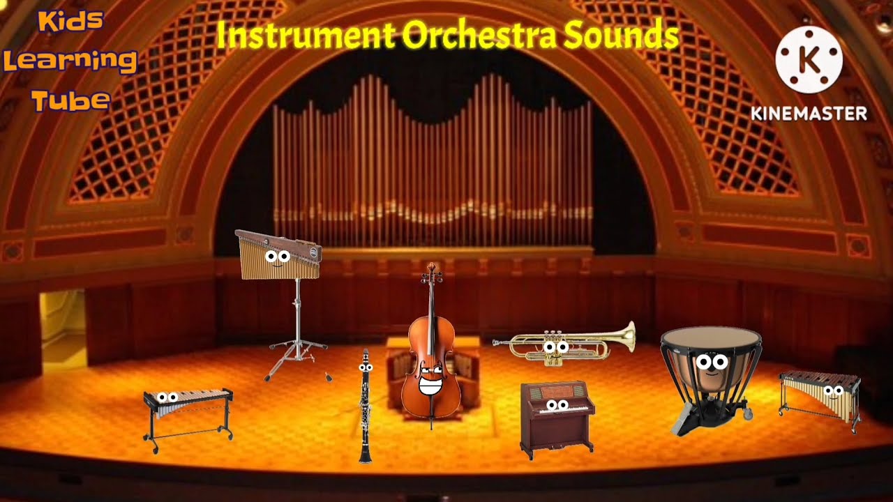 Instrument Orchestra Sounds For Kids | Orchestra Songs - YouTube