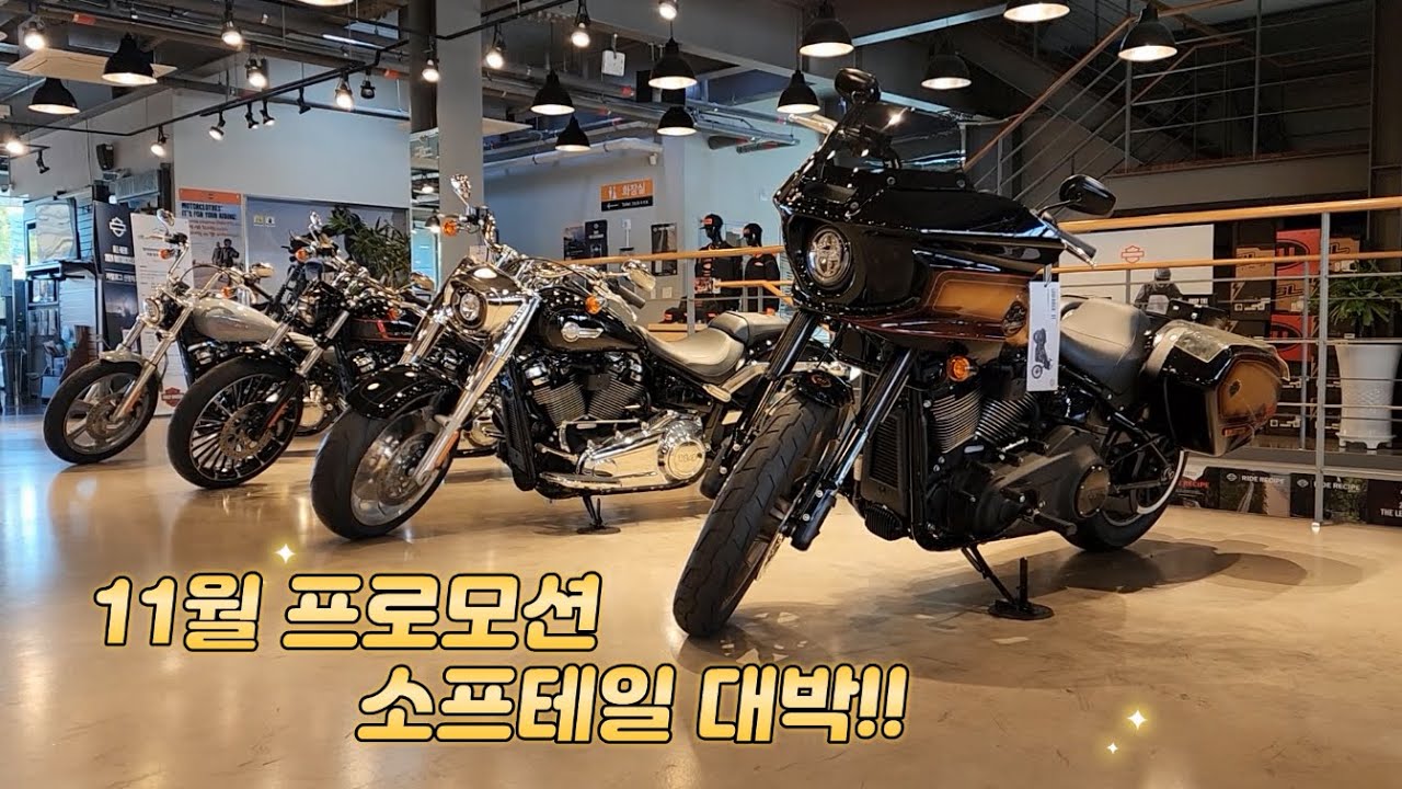 24년 11월 대박 프로모션 소프테일 강추 팻보이 Or 브레이크 아웃 Etc 할리파파의 프로모션 Youtube