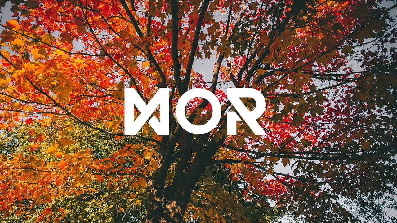 Arnyd - Autumn Foliage - YouTube