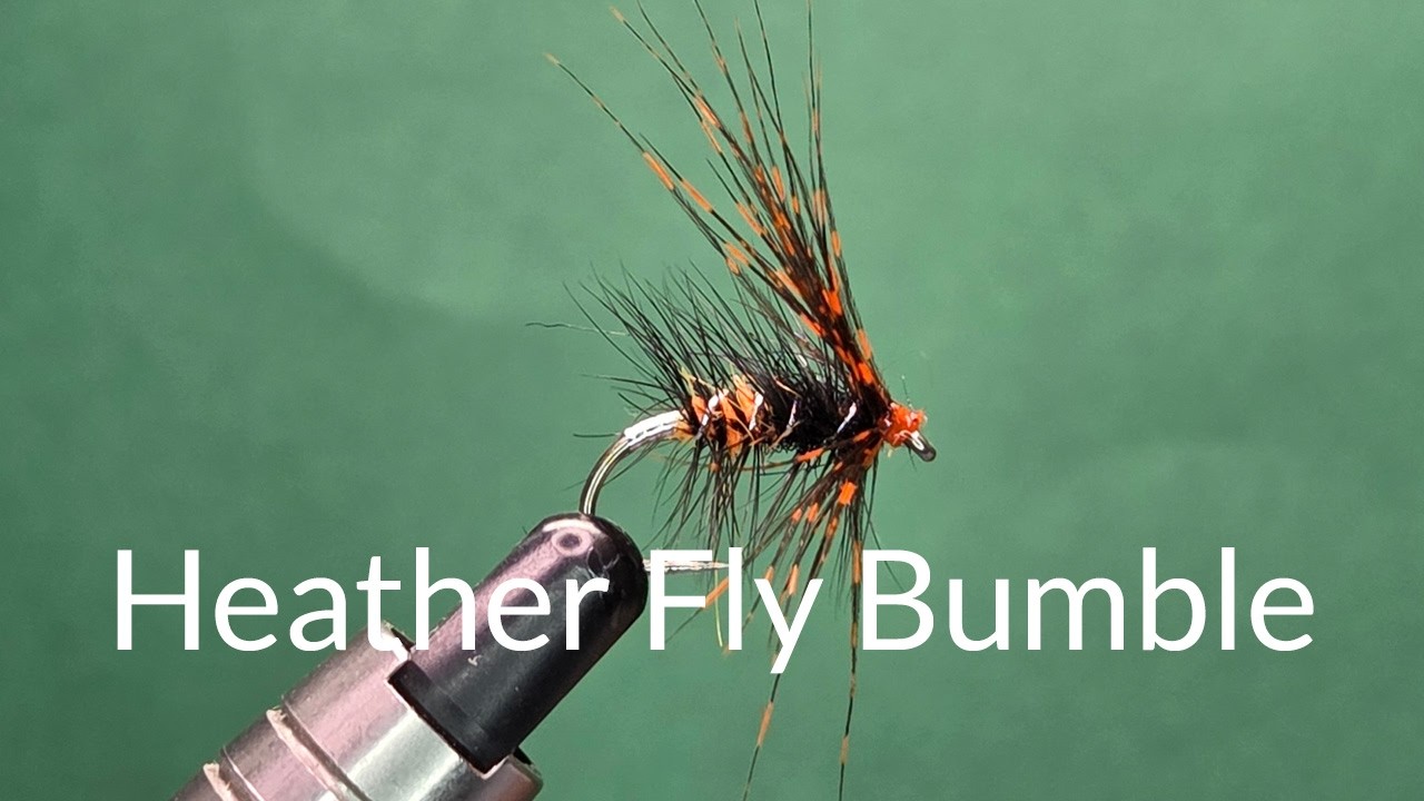Heather Fly Bumble - One Fly A Day - YouTube