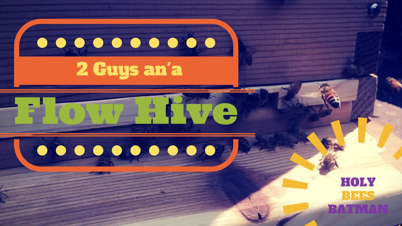HOLY BEES BATMAN... PART 1 - YouTube