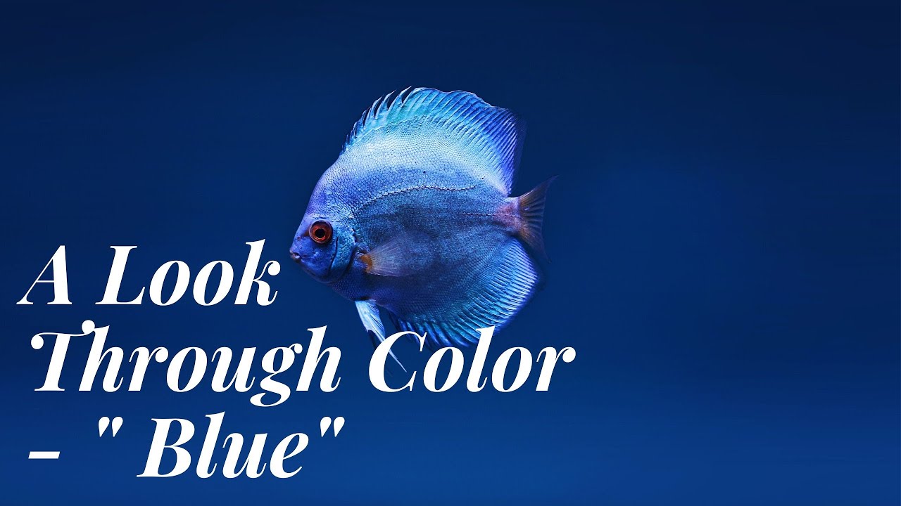 Color Theory - A Simple Test To Understand How Blue Color Impacts Our ...