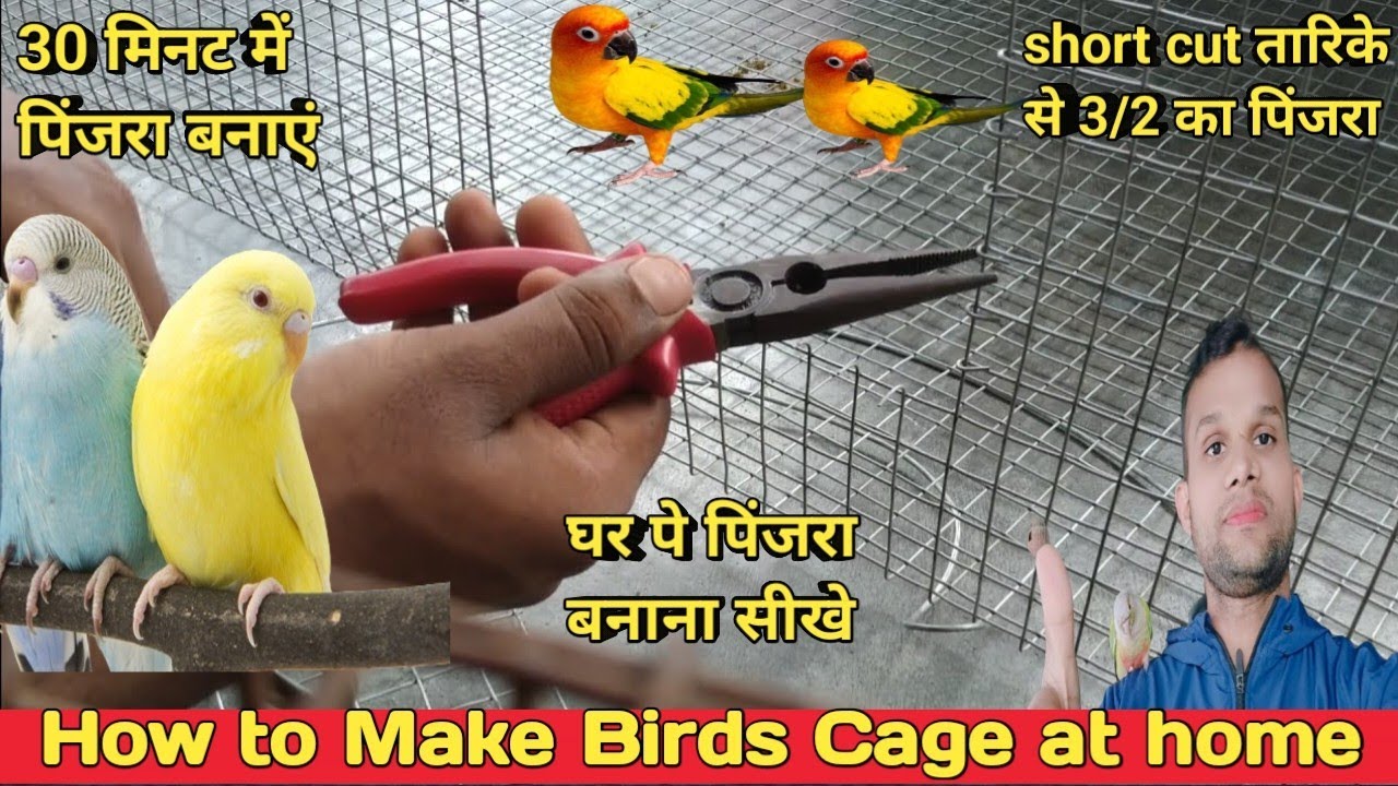 How to make birds cage at home Pinjra ghar pe aasan tarike se banaye ...